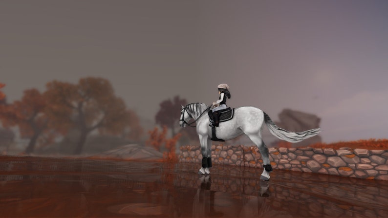 Rain Presets by Matilees /star Stable Online/ Reshade - Etsy Australia