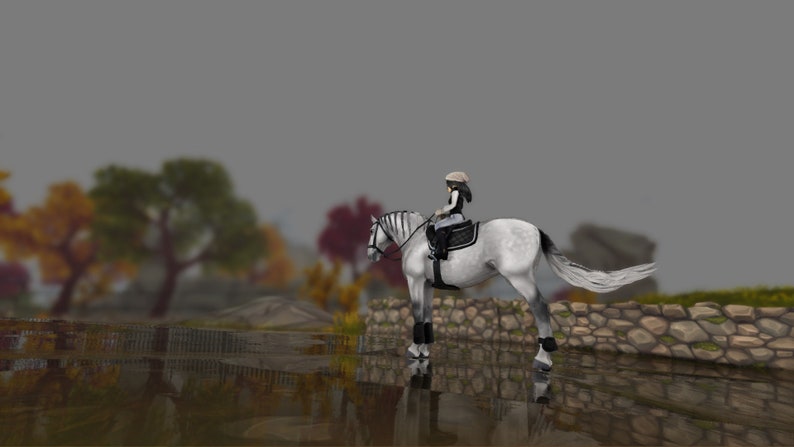 Rain Presets by Matilees /star Stable Online/ Reshade - Etsy Australia