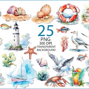 Marine Png Clipart, Watercolor Seashells Clipart Sublimation Design ...