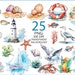 Marine Png Clipart, Watercolor Seashells Clipart Sublimation Design ...