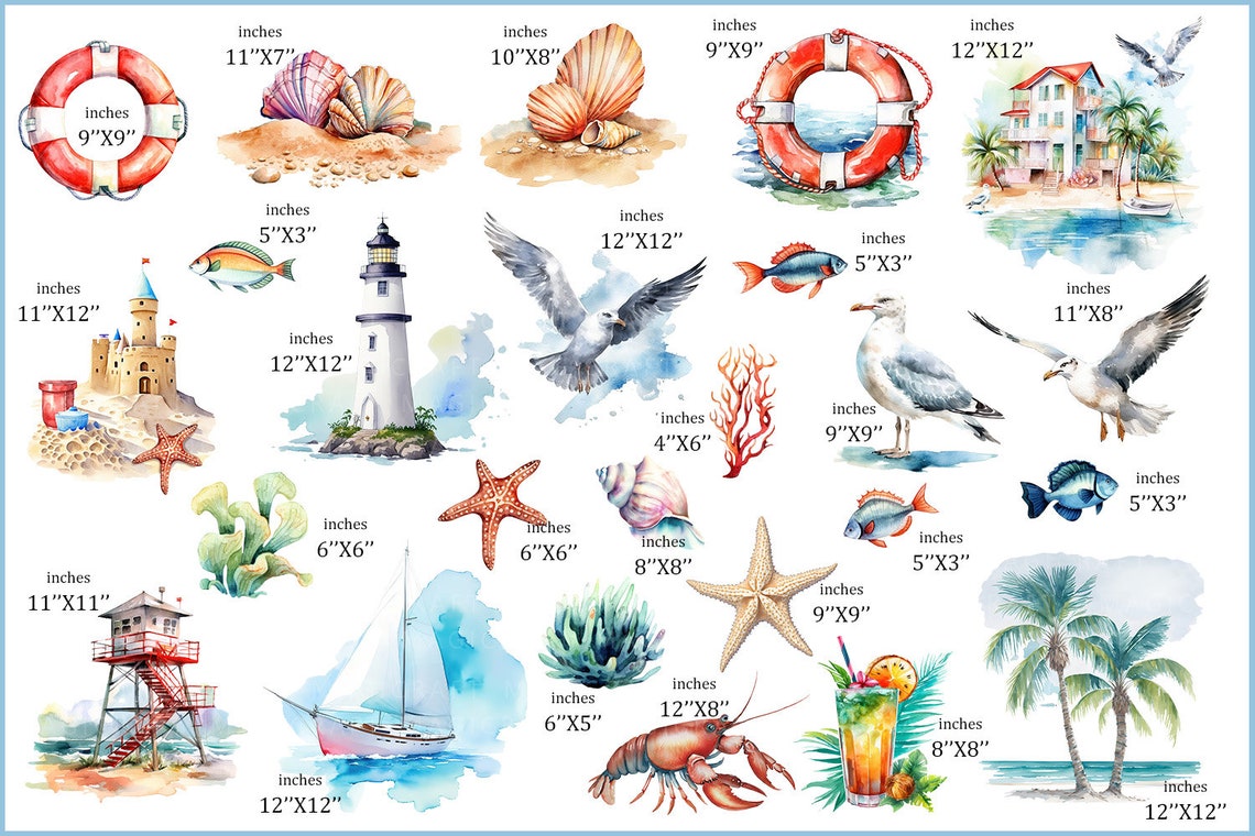 Marine Png Clipart, Watercolor Seashells Clipart Sublimation Design ...