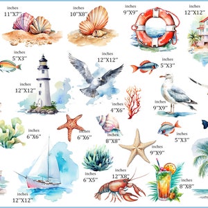 Marine Png Clipart, Watercolor Seashells Clipart Sublimation Design ...