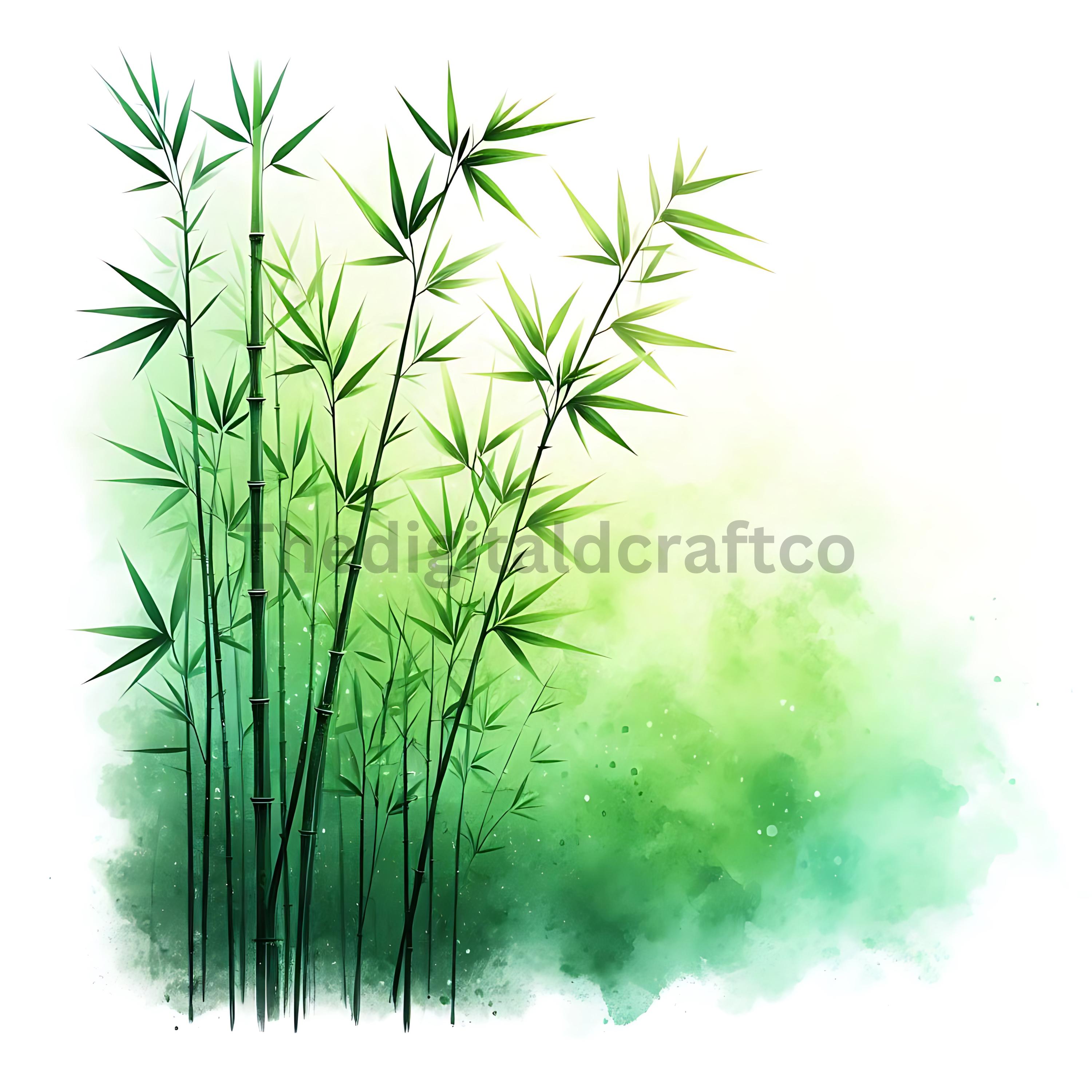 10 Bamboo Watercolor Clipart High-quality Tree Jpgs Digital Download ...