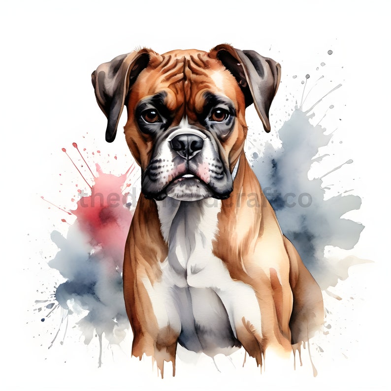 Boxer Dog Clipart 10 High Quality Jpgs Digital Download Mixed Media ...
