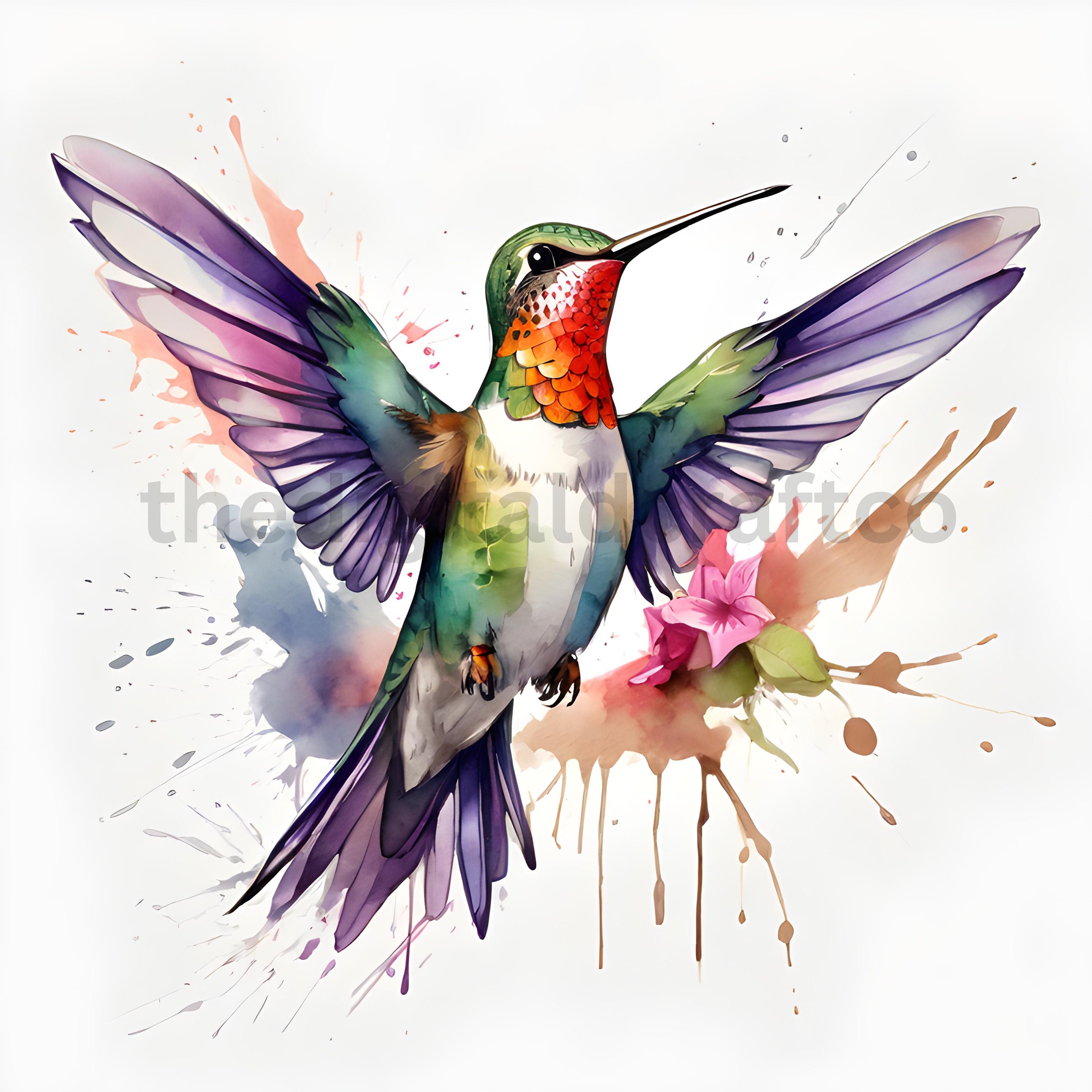 Hummingbird Clipart | Set-2 | 12 High Quality Jpgs - Digital Download ...