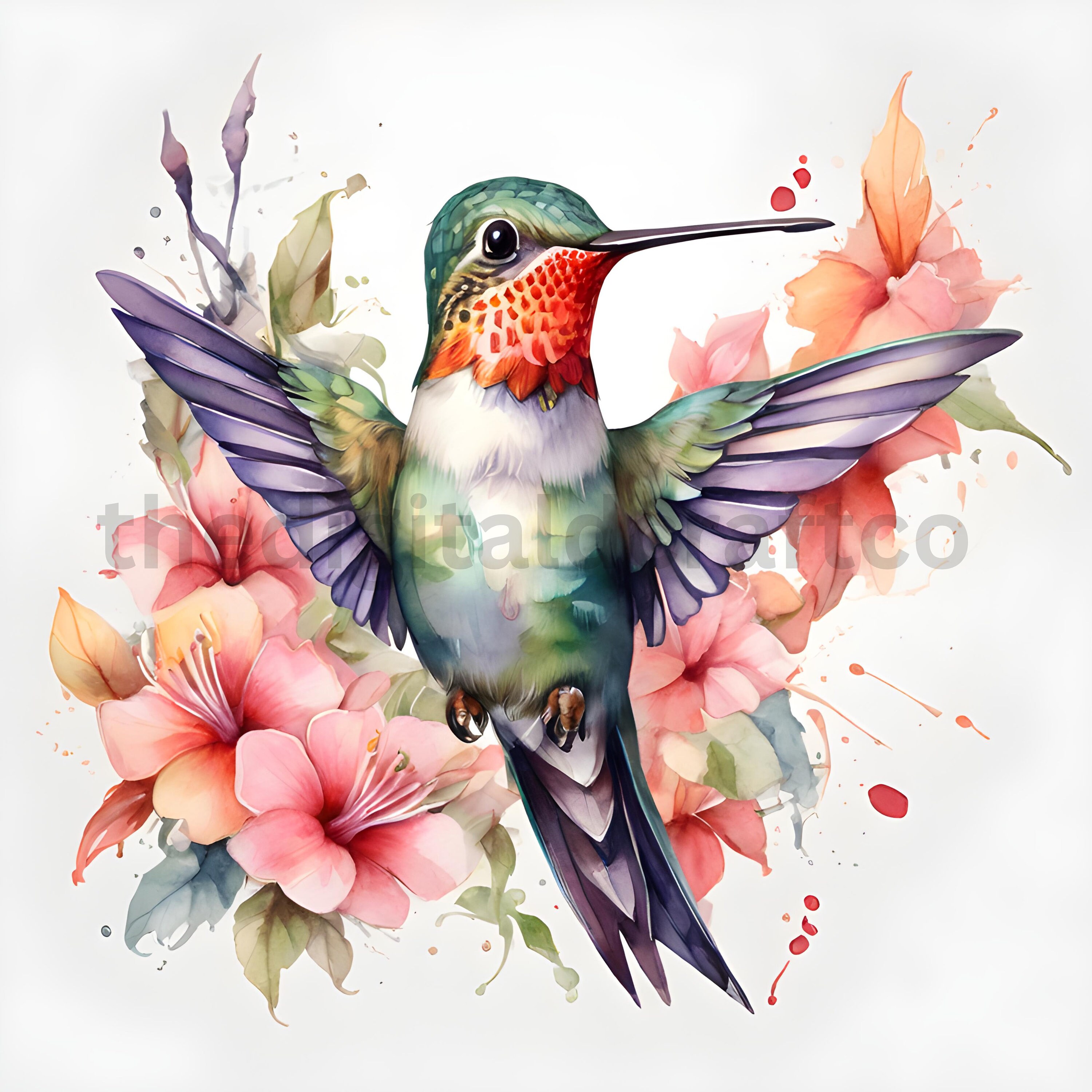 Hummingbird Clipart | Set-2 | 12 High Quality Jpgs - Digital Download ...