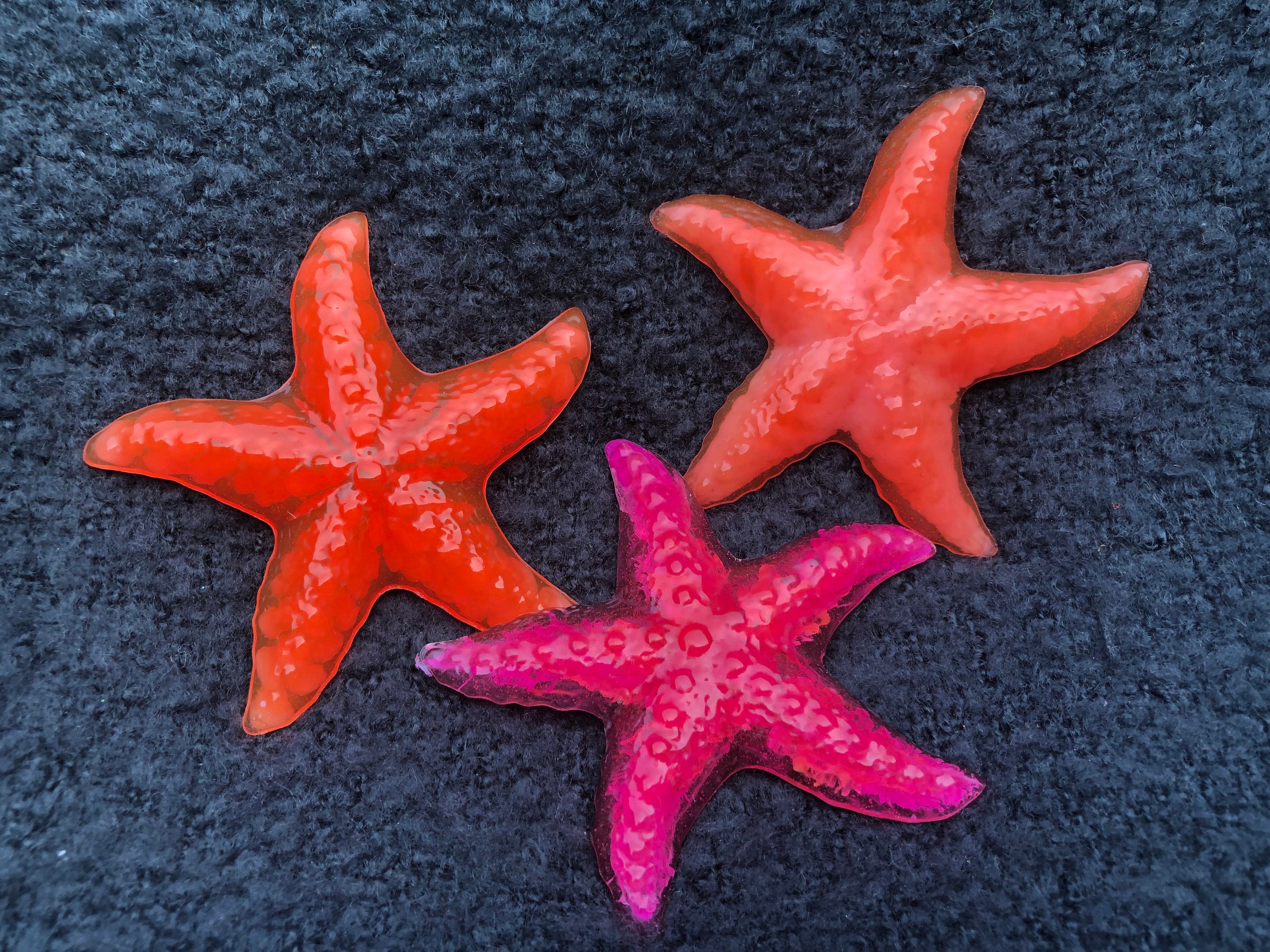 Hot Pink Starfish