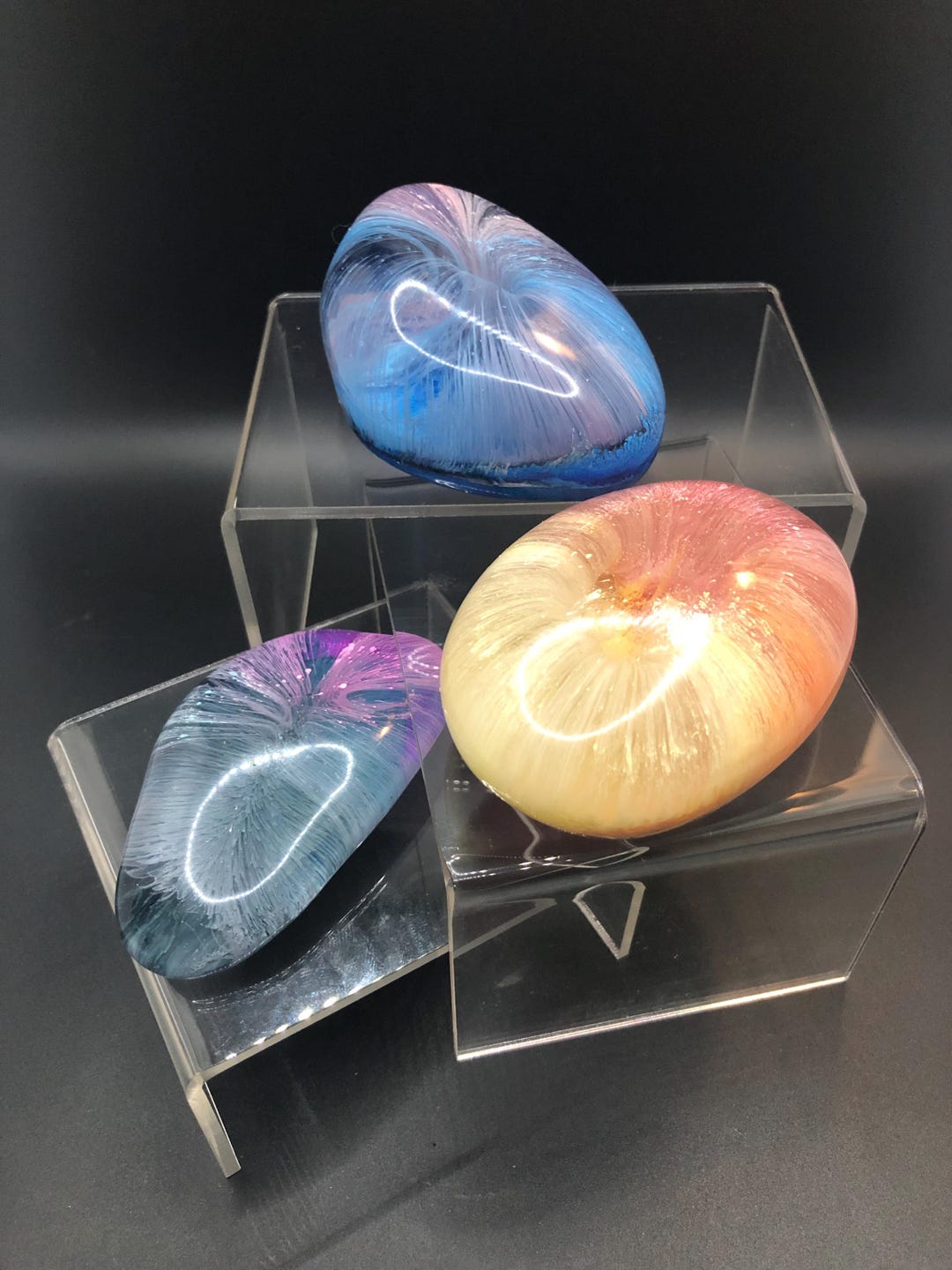 Set of 3 Petri Dish Style Rock/pebbles, Unique Petri Dish Rock ...