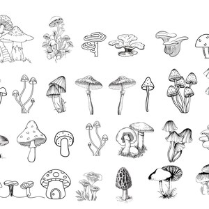 Mushroom SVG Bundle, Fungi Illustrations (digital Download) - Etsy