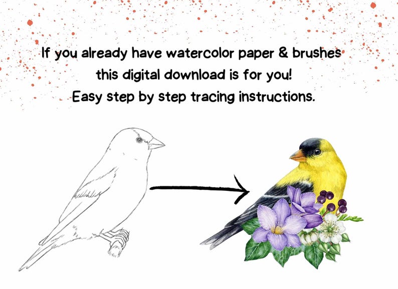 Digital Trace & Paint Birds, Memory Care Printable, Aviary Watercolor ...
