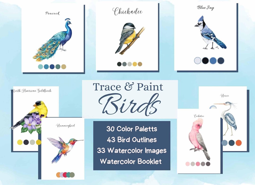 Digital Trace & Paint Birds, Color Palettes, Aviary Watercolor Kit ...