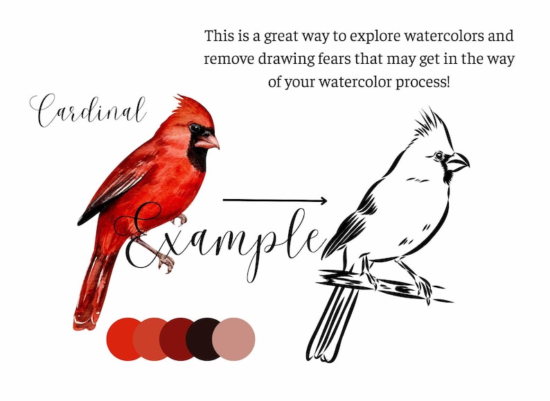 Digital Trace & Paint Birds, Memory Care Printable, Aviary Watercolor ...