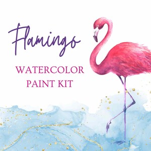 Flamingo Watercolor Painting Kit, Beginner Skill, Intermediate Skill ...