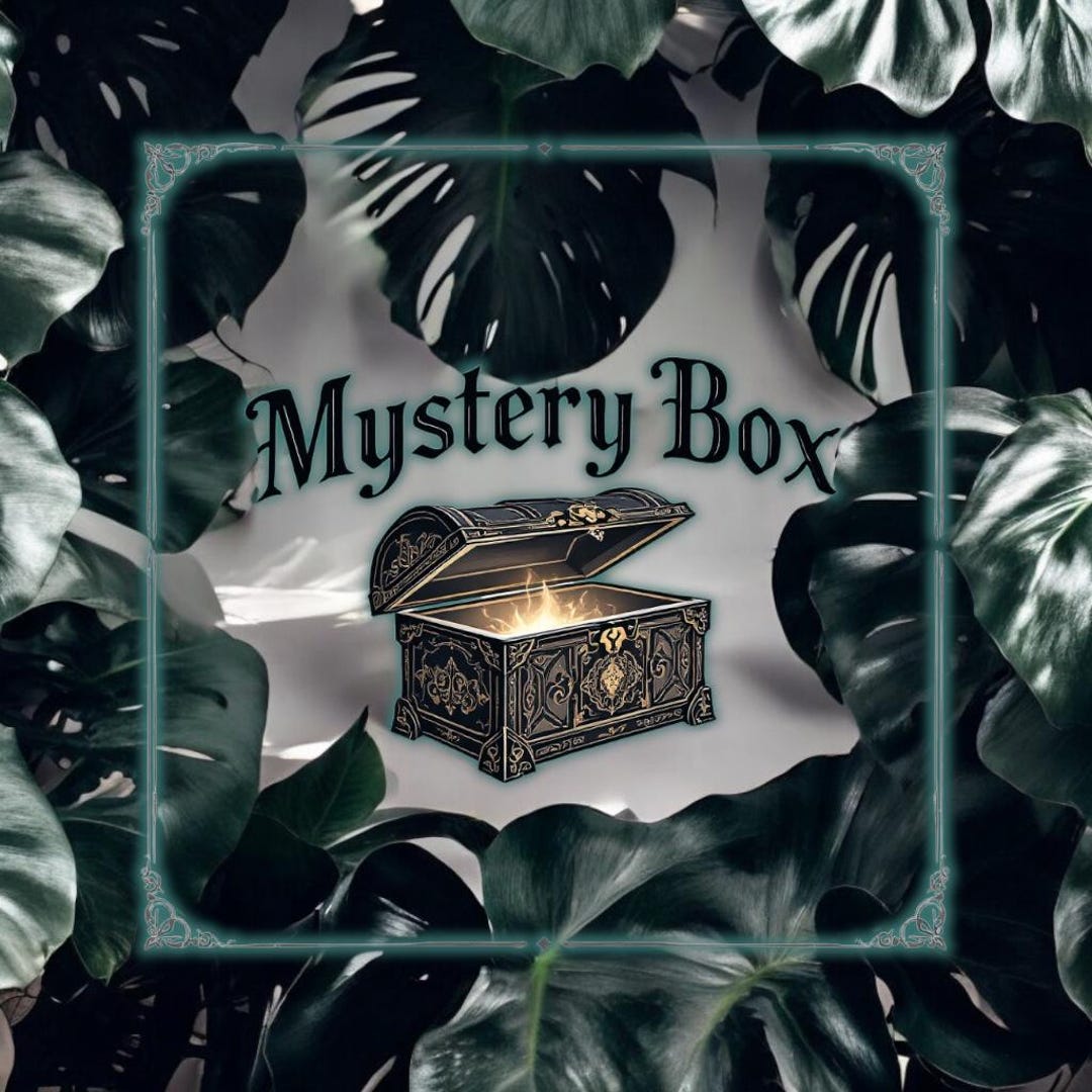 Customizable Mystery Box: Surprise Gift Box - Etsy
