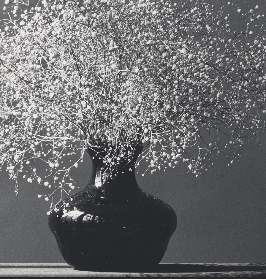 Robert Mapplethorpe, 'vase', Fine Art Print, Various Sizes - Etsy