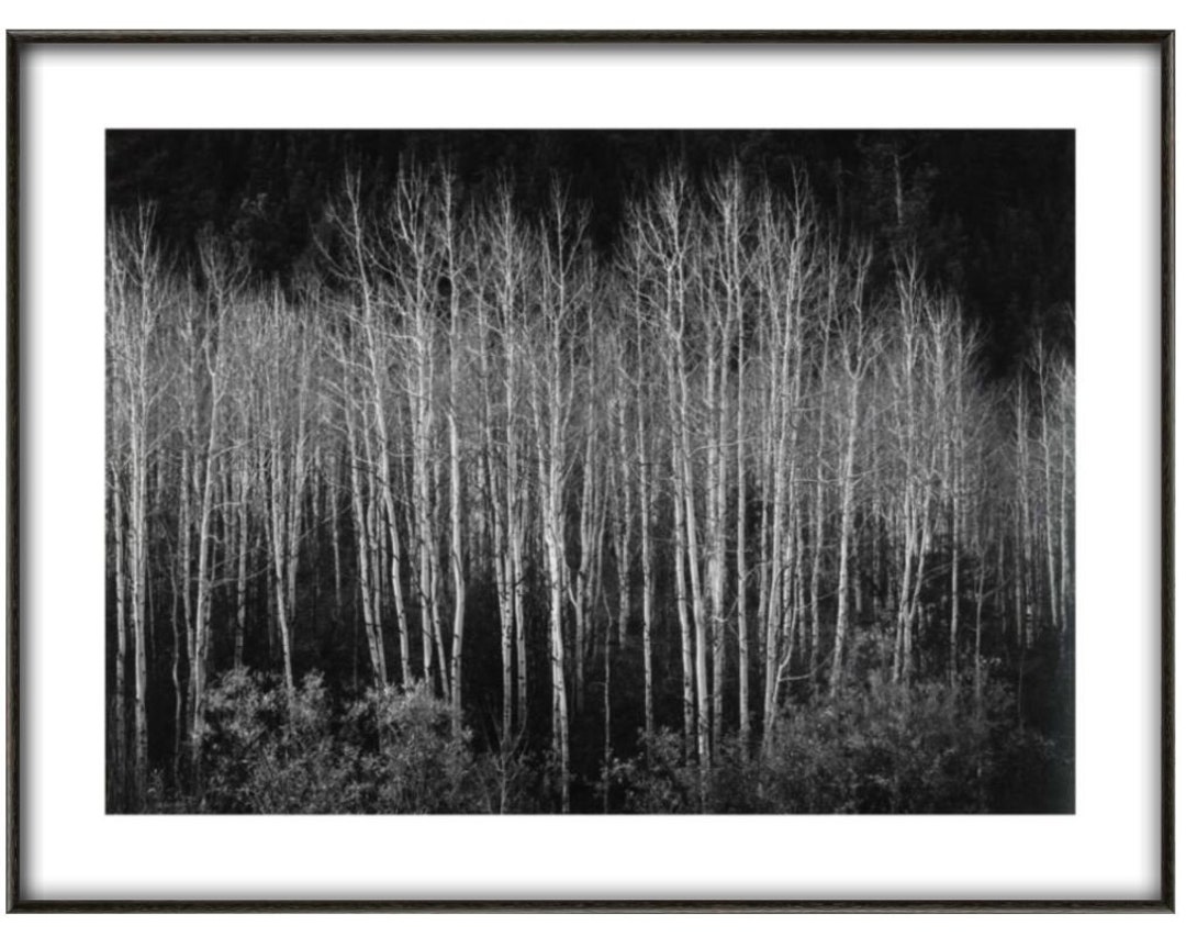 Ansel Adams, 'trees, River Canyon', Fine Art Print, Various Sizes - Etsy UK