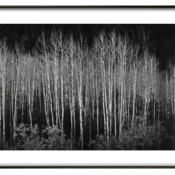 Ansel Adams - Etsy