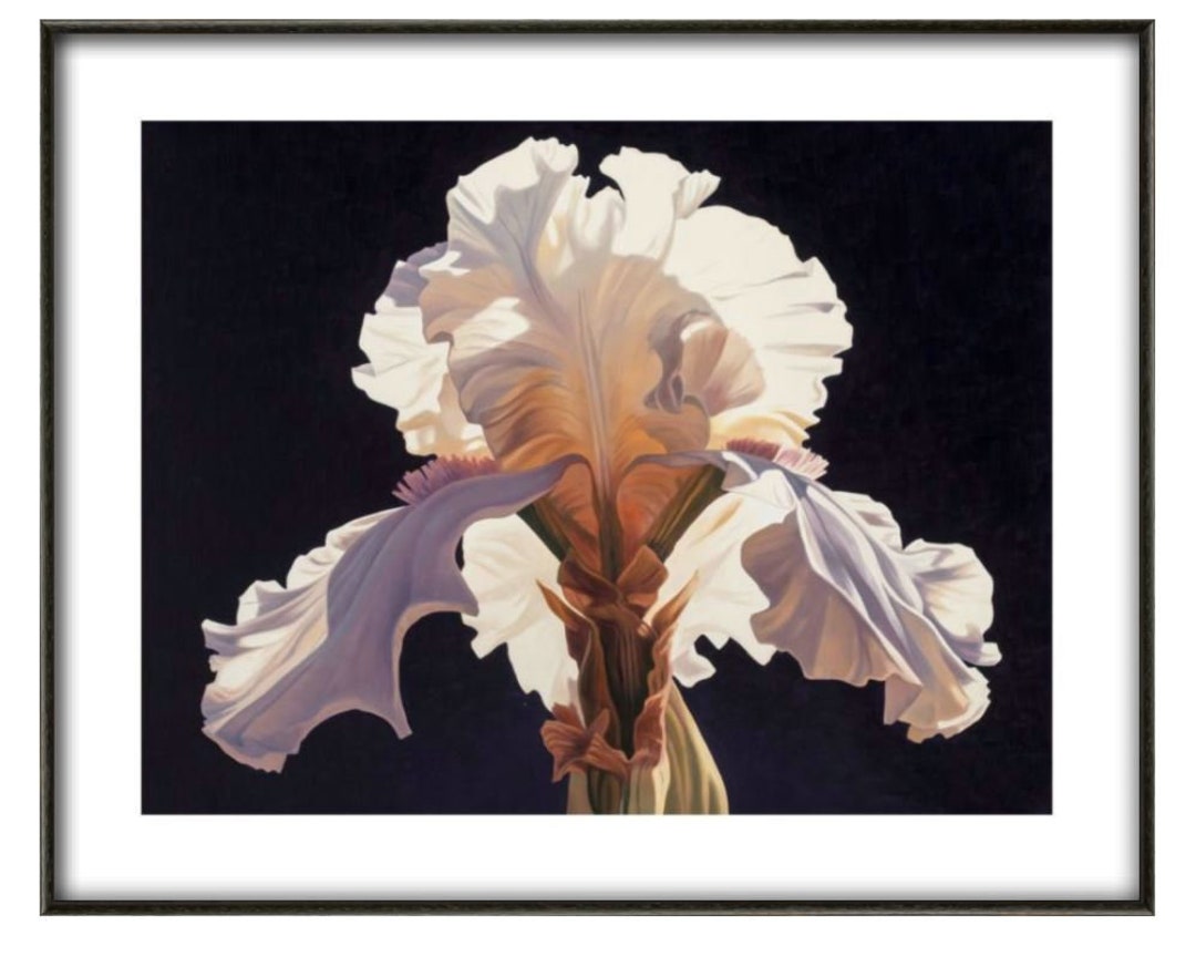 Ed Mell, 'flower', Fine Art Print, Various Sizes - Etsy