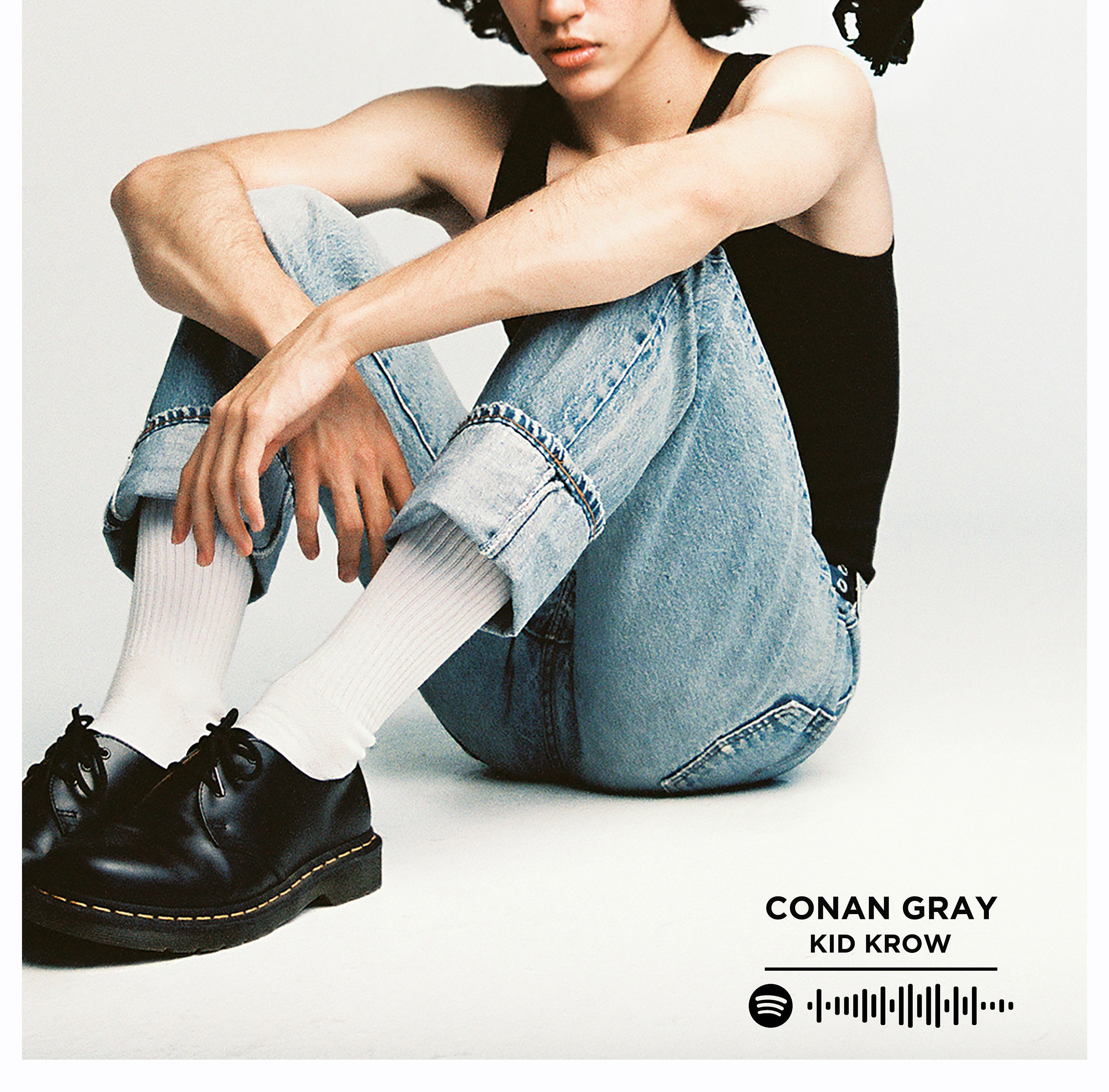 Conan Gray Kid Krow Album Poster / Album Cover Poster / - Etsy