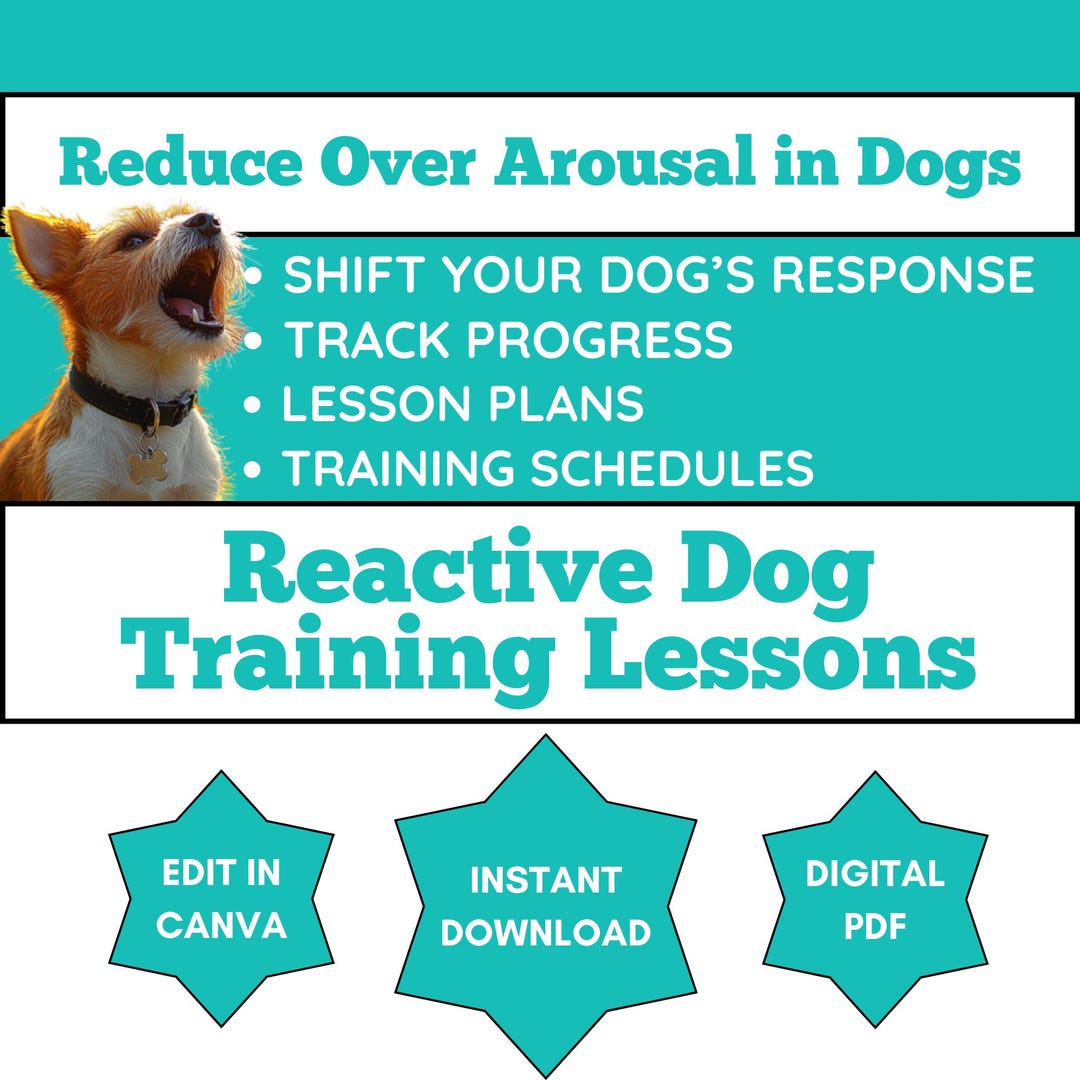 Reactive Dog Training Guide, Aggressive Behavior PDF, Obedience ...