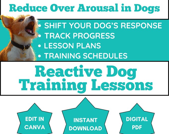 Rebarkable Reactivity Guide: A Comprehensive Guide for Dogs and Their ...