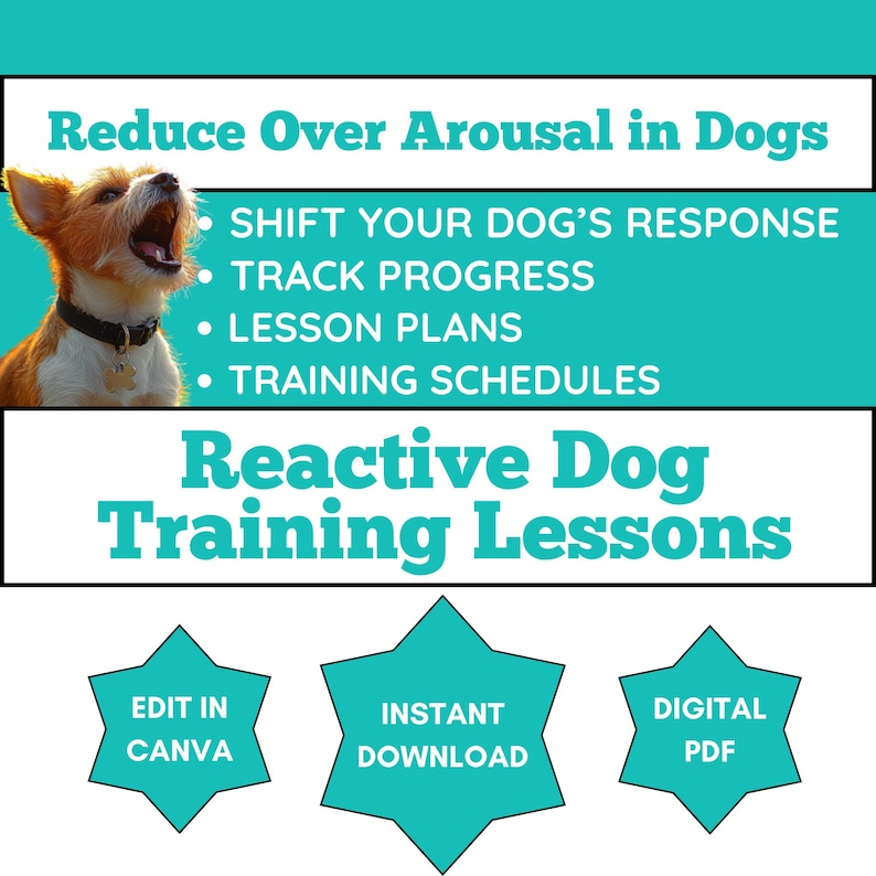 Dog Trainer Templates, High Arousal Management, Reactive Dog Training ...