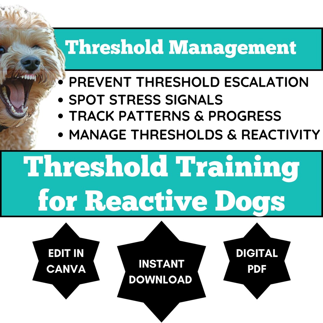 Threshold Training for Reactive Dogs, Digital Guide (PDF) - Etsy