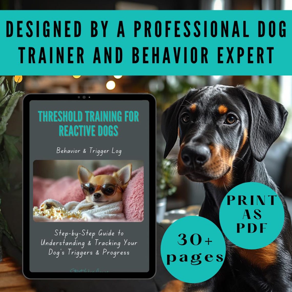 Threshold Training for Reactive Dogs, Digital Guide (PDF) - Etsy