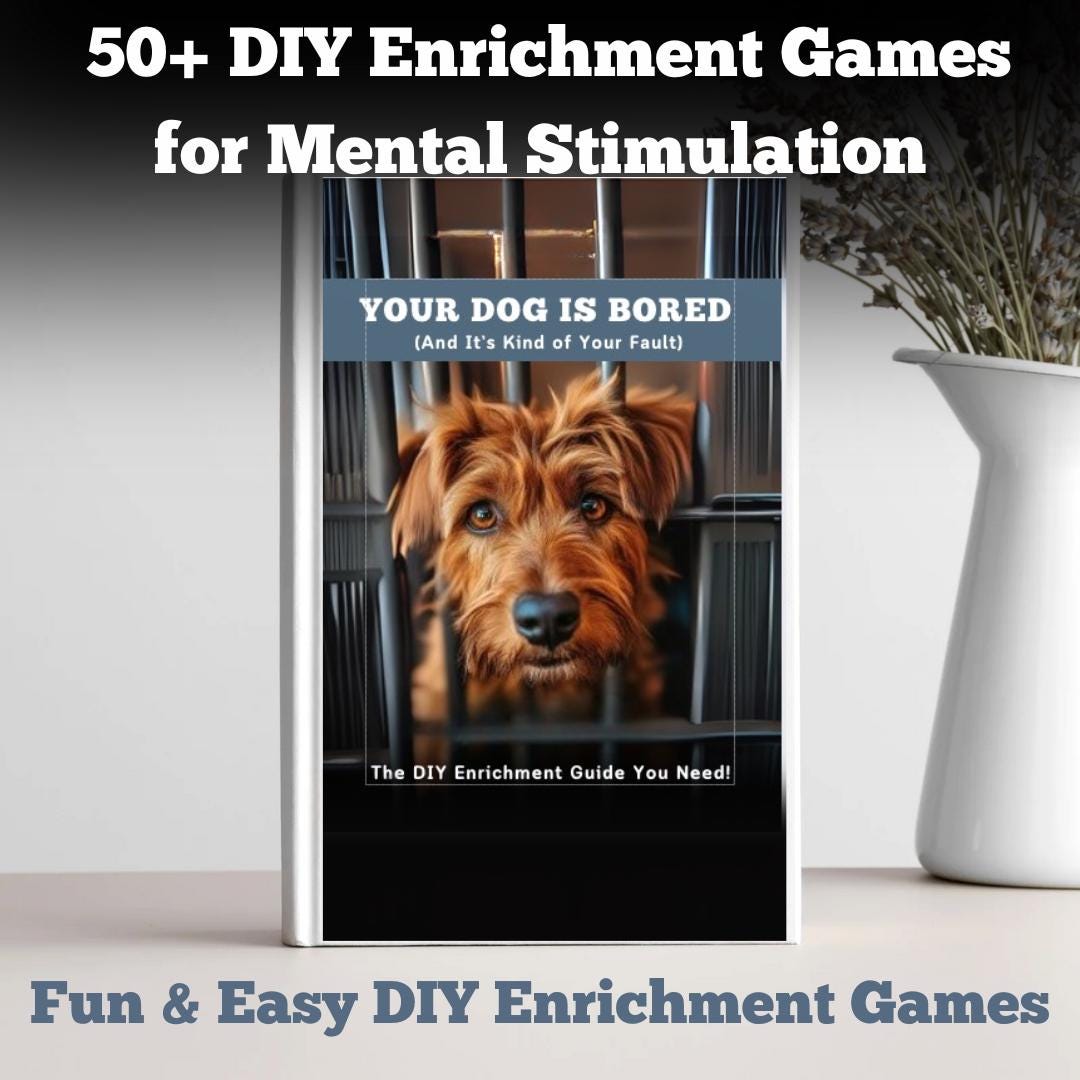 DIY Dog Enrichment Ebook, Fun Brain Games (digital Download) - Etsy