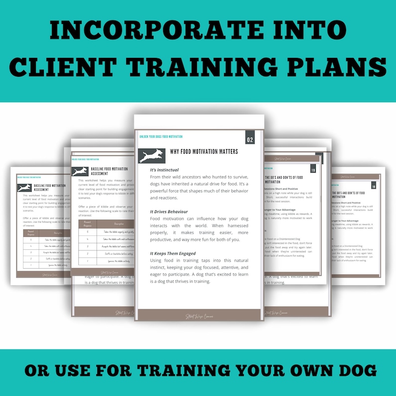 Dog Trainer Templates, High Arousal Management, Reactive Dog Training ...