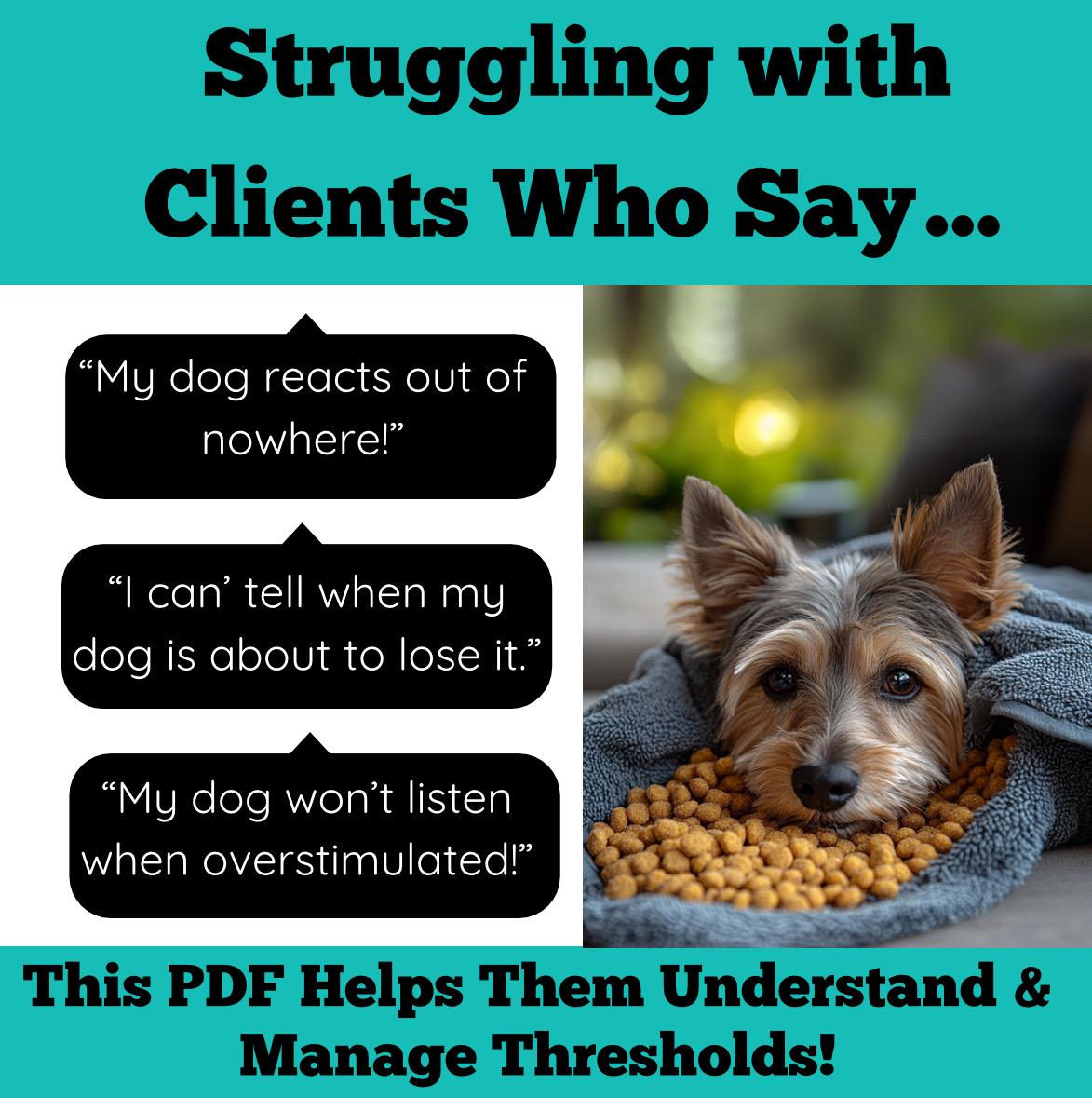 Threshold Training for Reactive Dogs, Digital Guide (PDF) - Etsy