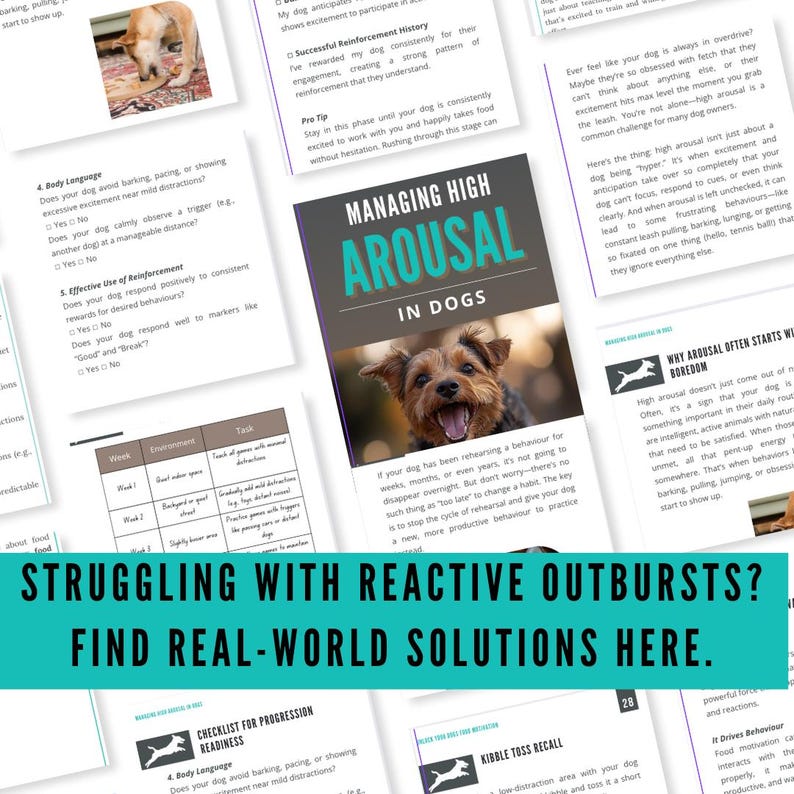Dog Trainer Templates, High Arousal Management, Reactive Dog Training ...