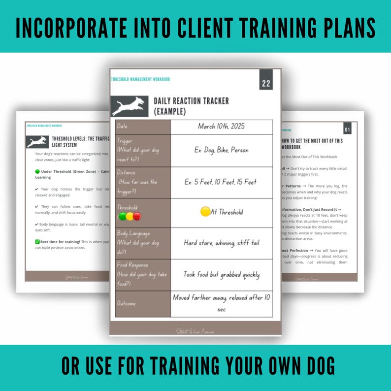 Threshold Training for Reactive Dogs, Digital Guide (PDF) - Etsy