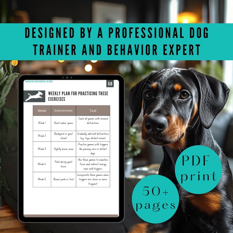 Dog Trainer Templates, High Arousal Management, Reactive Dog Training ...