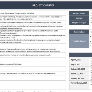 Project Charter Excel Template: Project Plan - Etsy