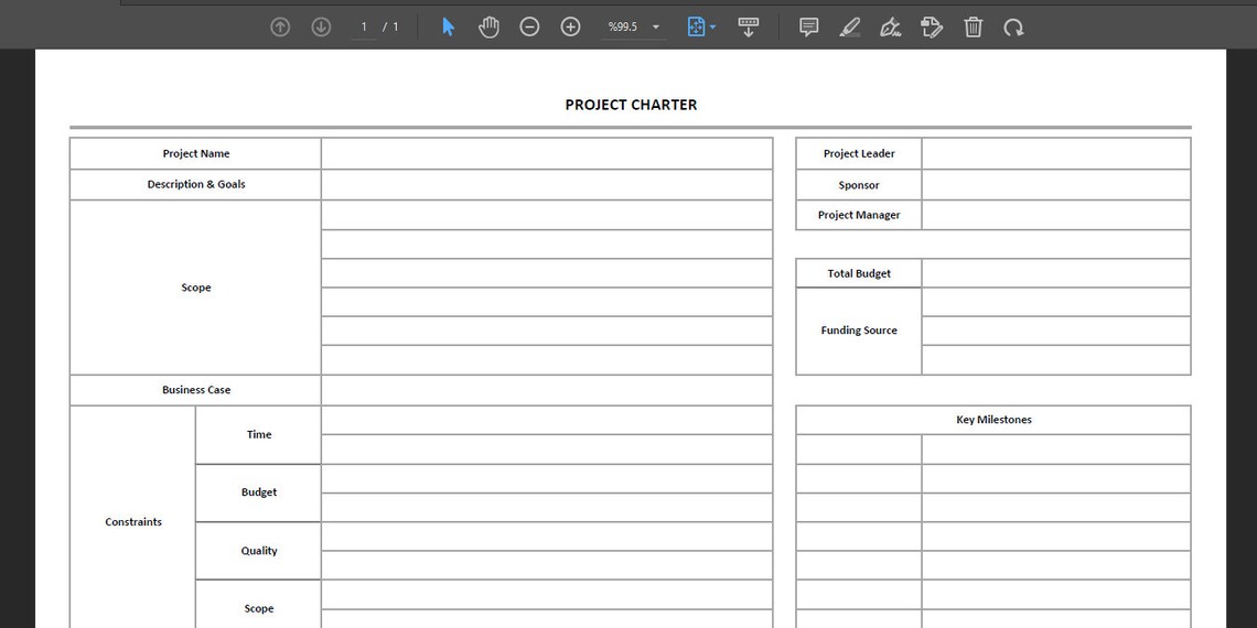 Project Charter Excel Template Business Charter Template Project Plan ...