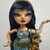 Rainbow High X Monster High OOAK Cleo Inspired Custom Doll - Etsy