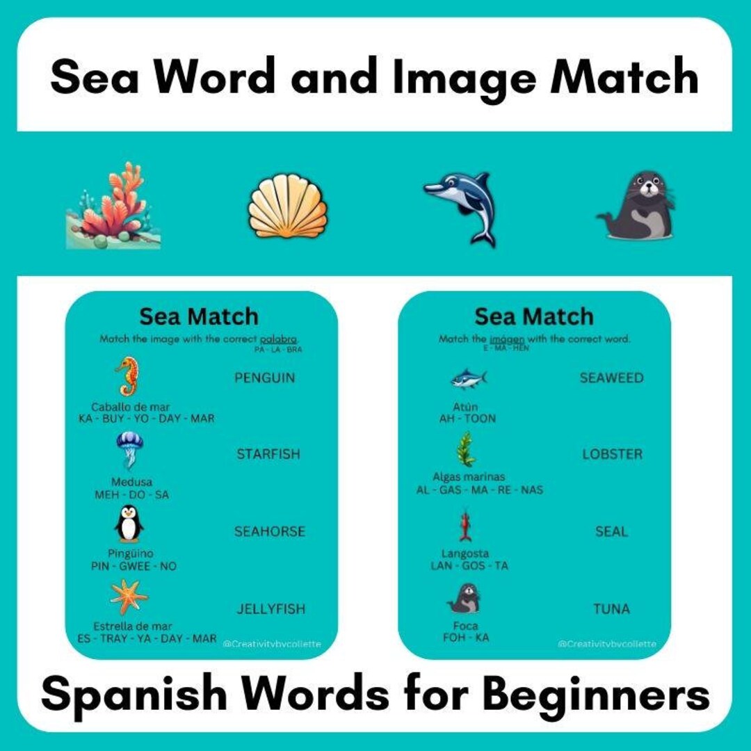 5 X Bilingual Sea Word and Image Match Games. Learn Spanish Words and ...
