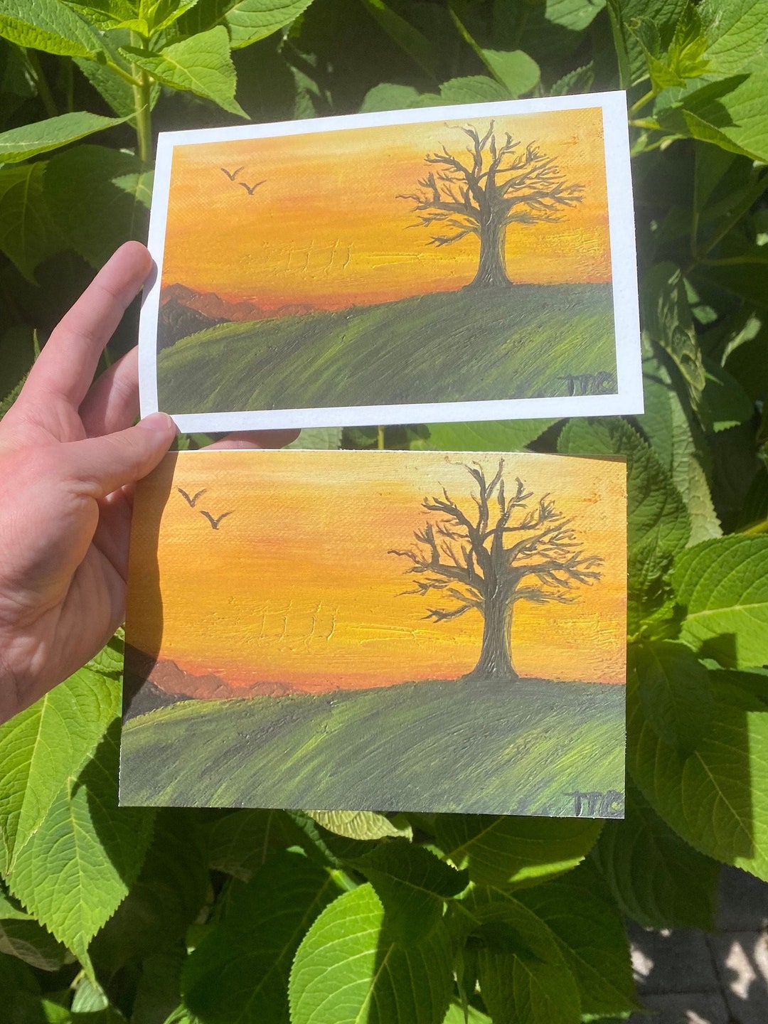 5” X 7” Fine Art Print - “scraggly Tree” by Tim Clark - Etsy