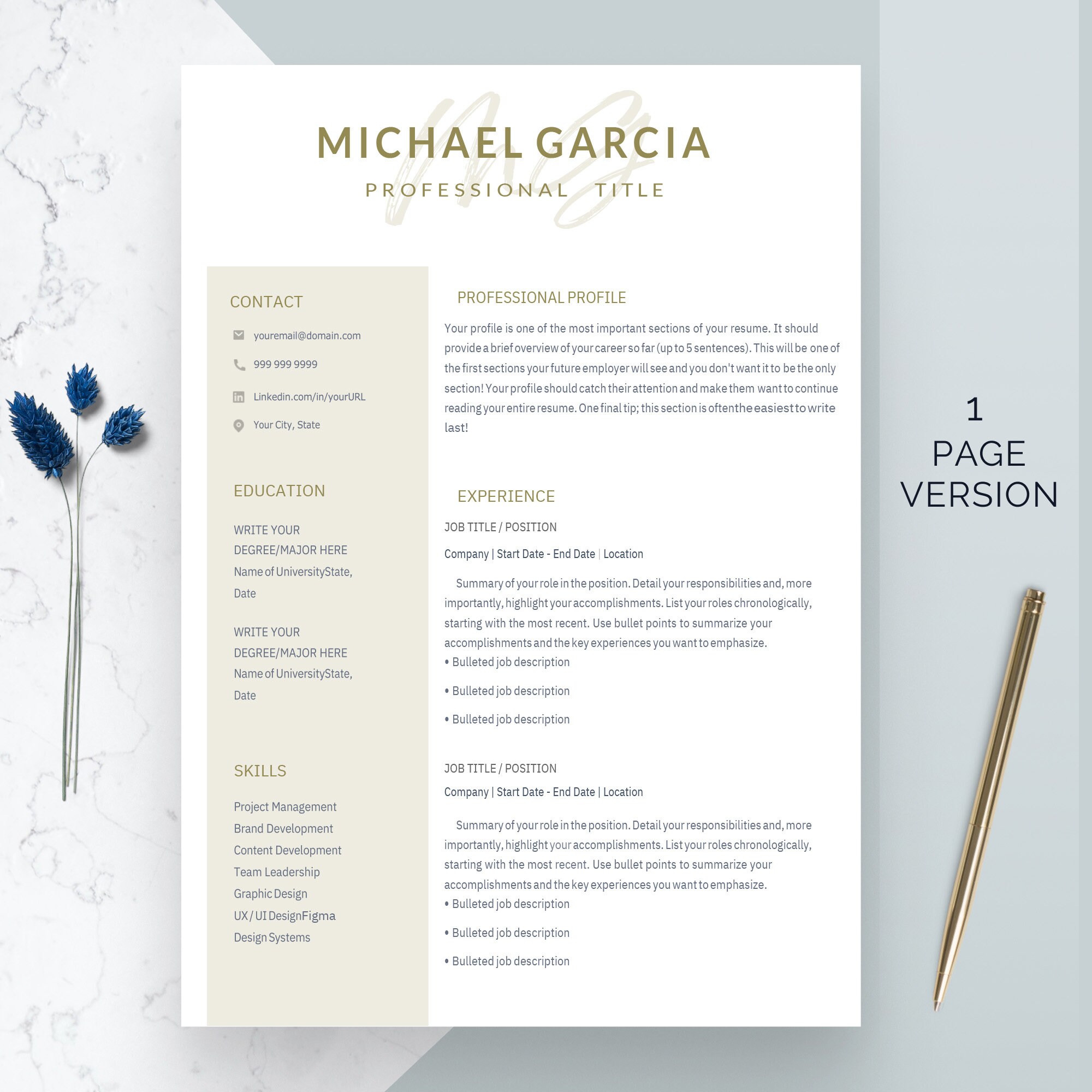 Elegant Modern Resume Template Word & Google Docs CANVA CV - Etsy