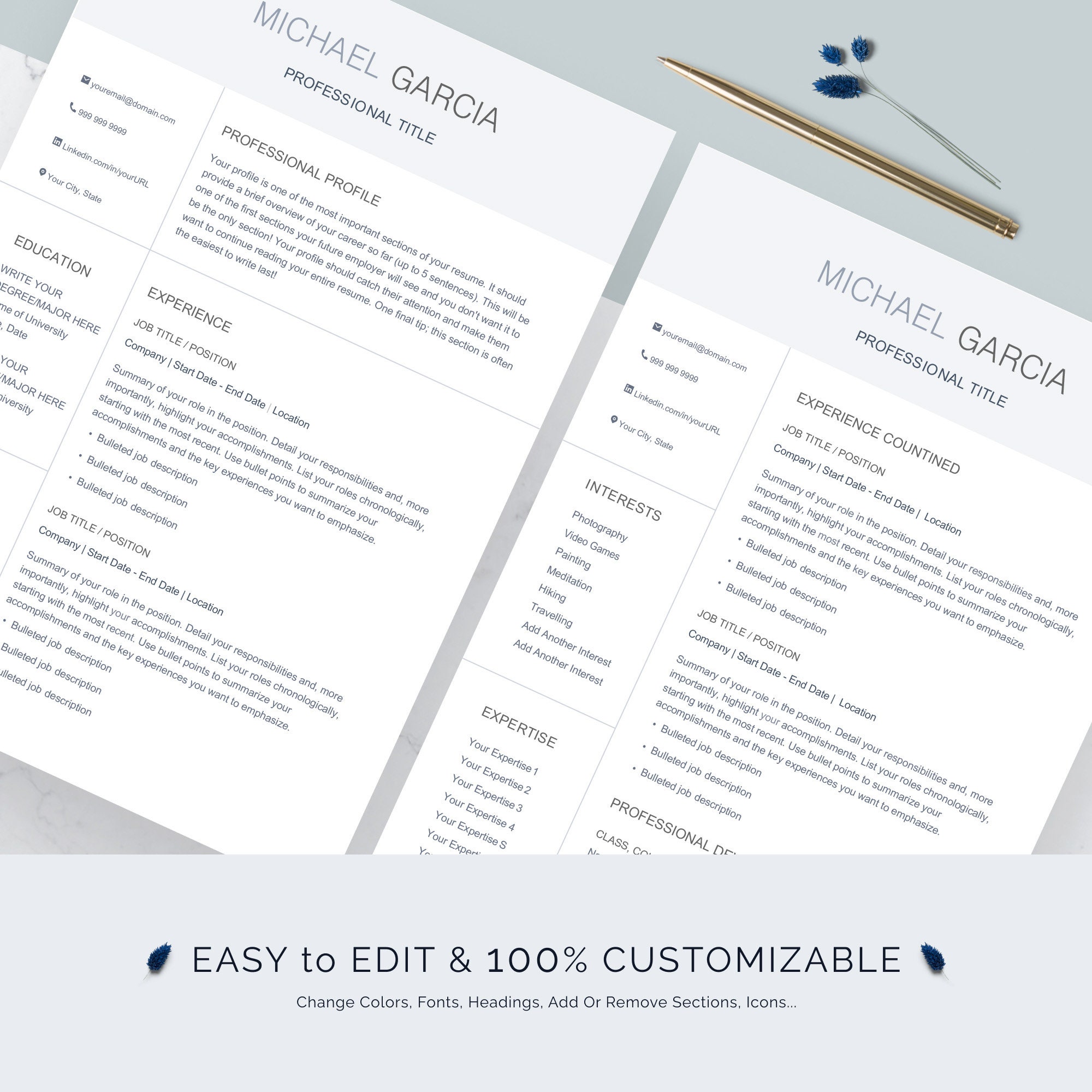 Executive Resume Template Word & Google Docs CANVA CV - Etsy