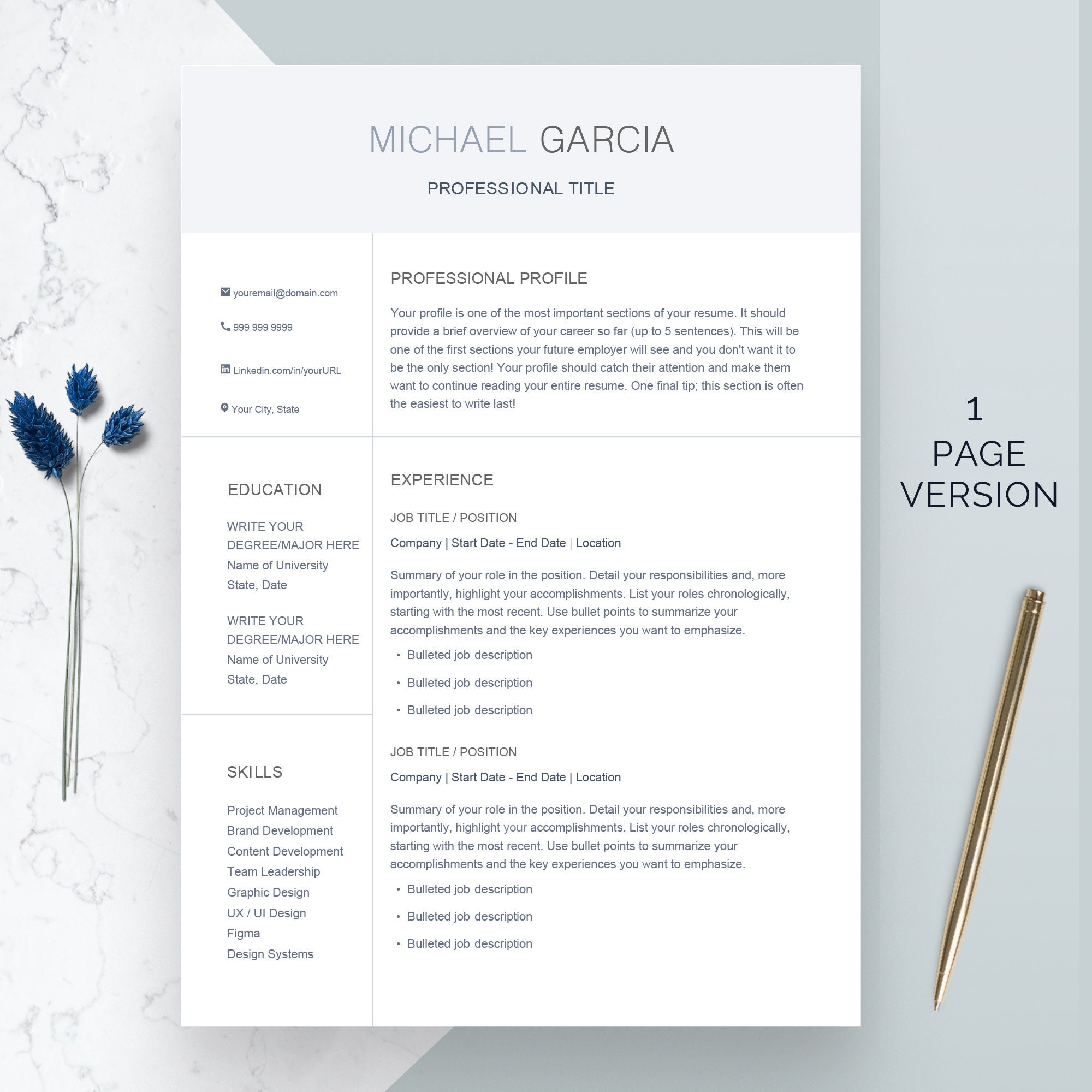Executive Resume Template Word & Google Docs CANVA CV - Etsy