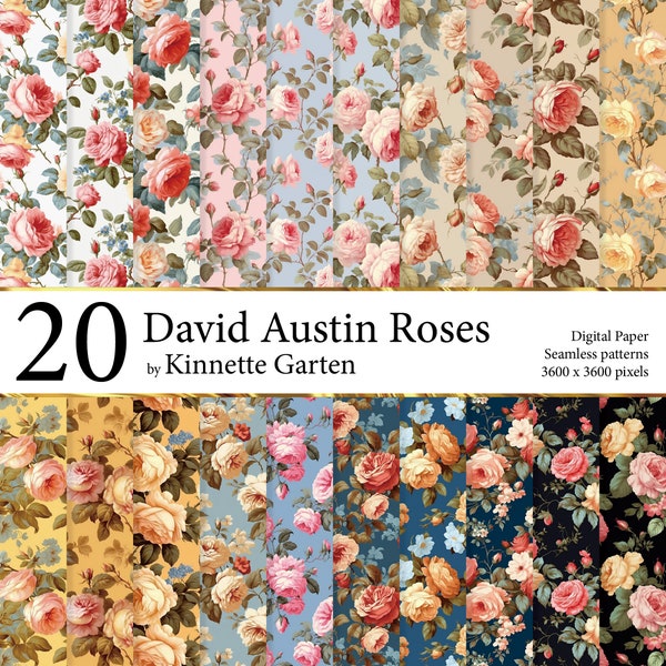 David Austin Roses - Etsy