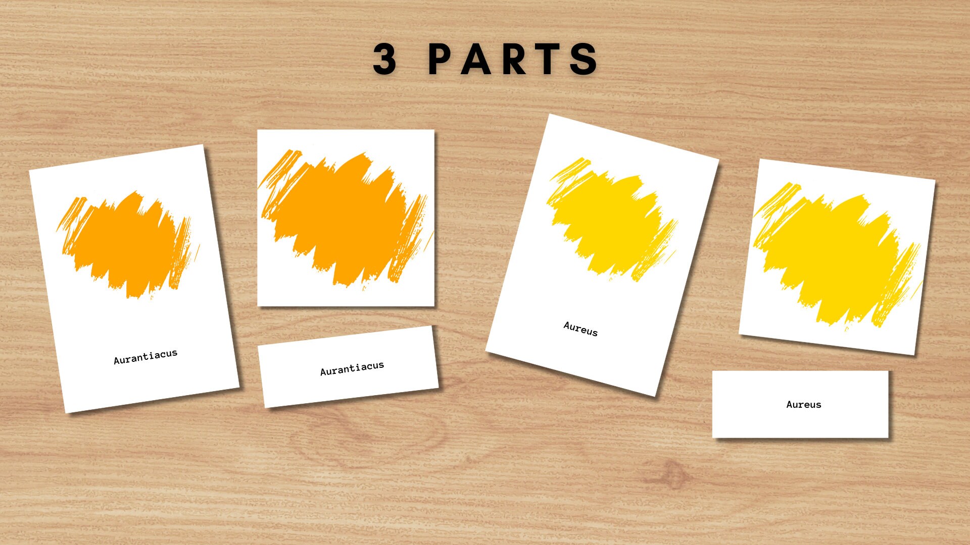 20 Latin Color Cards Montessori Flashcards Pre-school Cards - Etsy