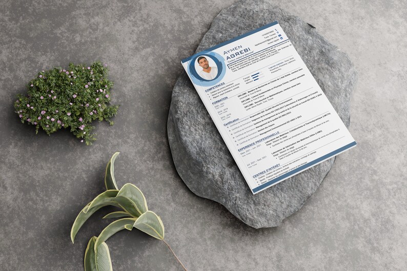 CV, Professional CV Template, Curriculum Vitae, Cover Letter ...