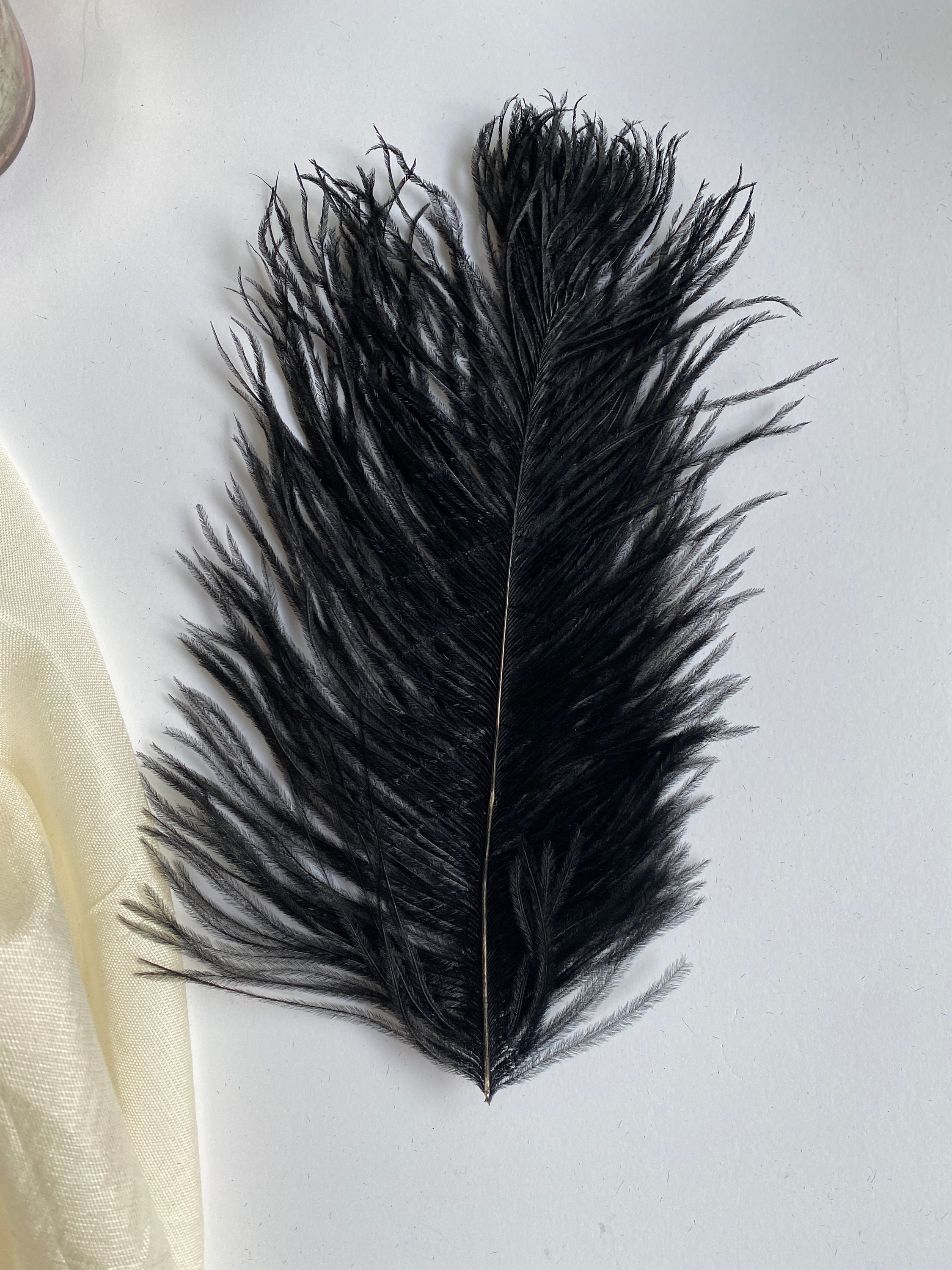 6 Vintage Simpson's of Piccadilly Black Ostrich Feathers - Etsy
