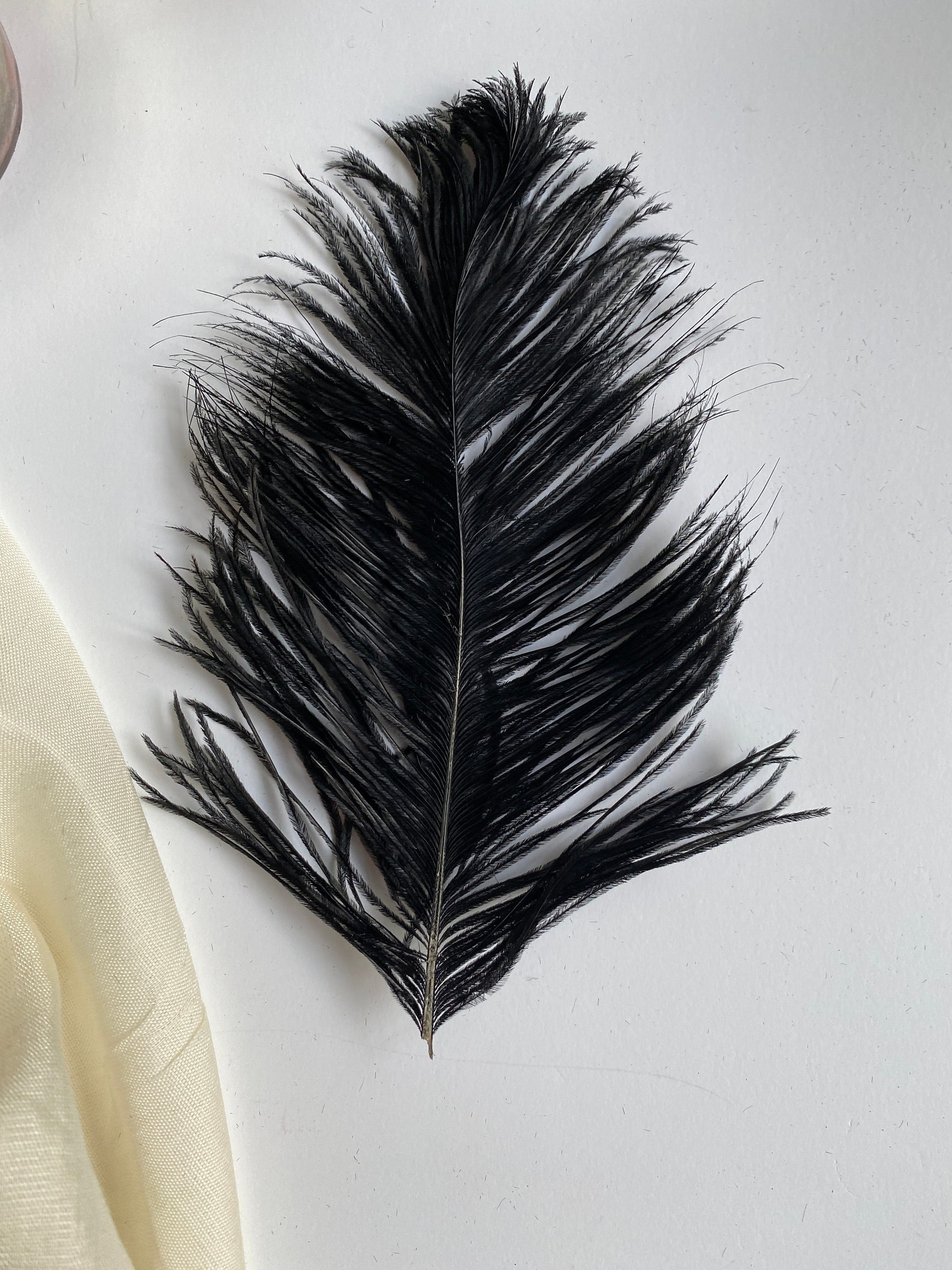 6 Vintage Simpson's of Piccadilly Black Ostrich Feathers - Etsy