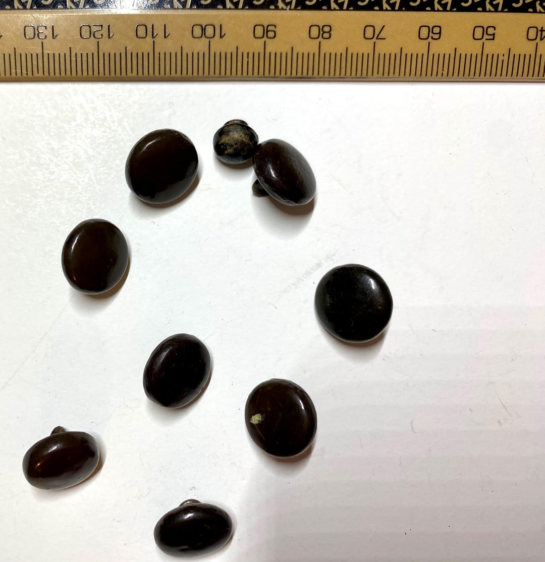 Eight Large Brown Boot Buttons and One Small Wooden Boot Button - Etsy
