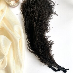 6 Vintage Simpson's of Piccadilly Black Ostrich Feathers - Etsy