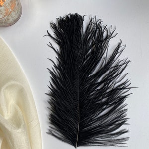 6 Vintage Simpson's of Piccadilly Black Ostrich Feathers - Etsy